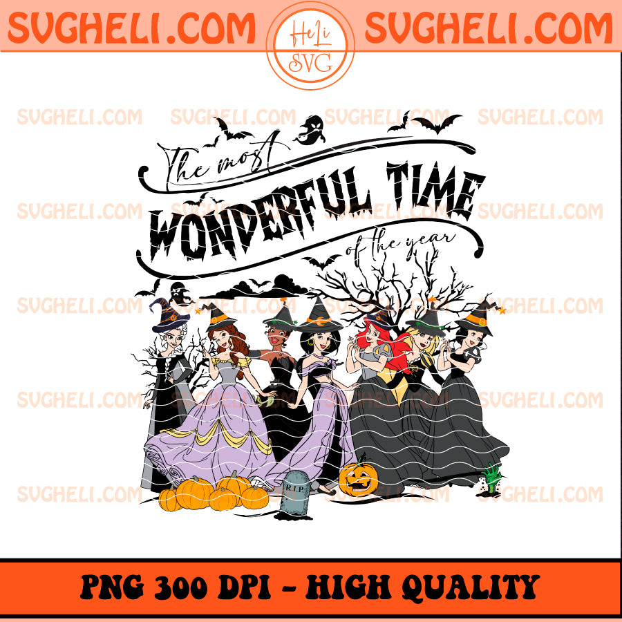 Disney Princess The Most Wonderful World Png, Princess Png