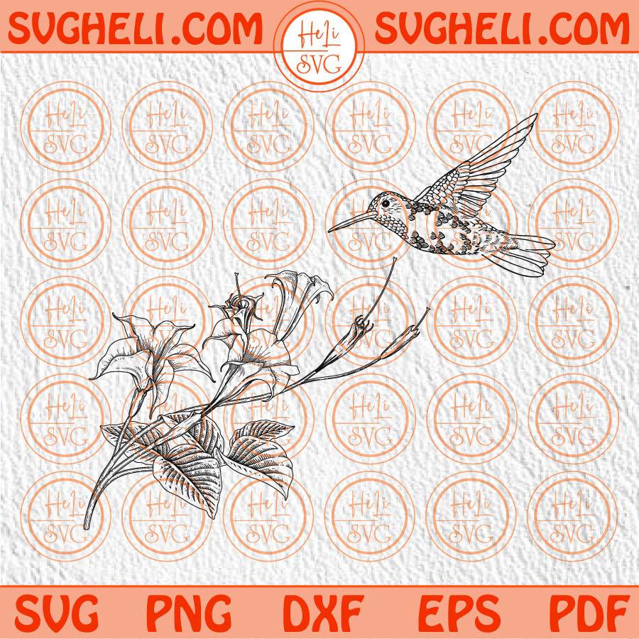 Hummingbird Flowers Svg Floral Hummingbird Svg for Cricut