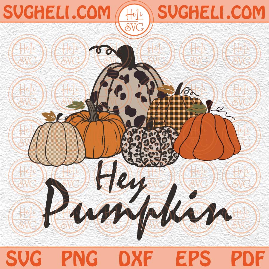 Vintage Hey Pumpkin Svg Leopard Fall Pumpkin Svg Retro Fall Svg
